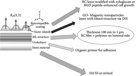 9 Illustration Of An Advanced Nanostructured Bioactive Biointerface