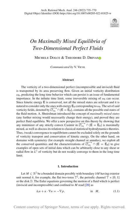 On Maximally Mixed Equilibria Of Two Dimensional Perfect Fluids