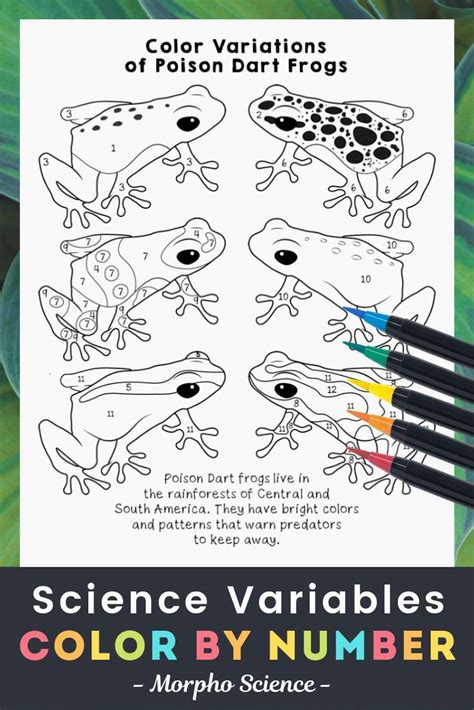 color by number science