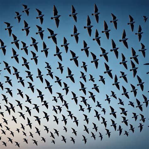 Count Objects Online By Ai In Seconds Automatic Counting At Nero Ai