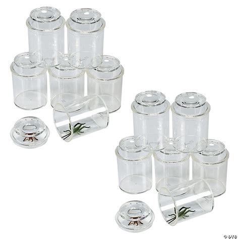Bulk 50 Pc See Through Bug Jars Oriental Trading
