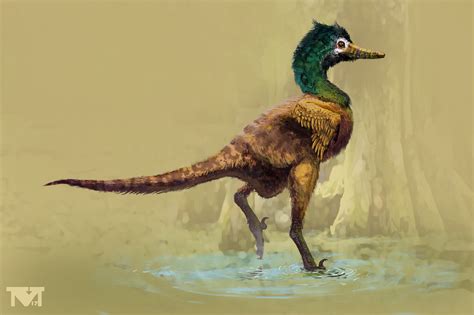 Halszkaraptor Escuilliei By Malvit On Deviantart