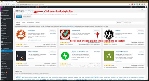 How To Install A Plugin On Your Website Raney Day Design