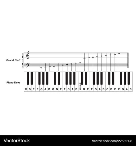Piano Keyboard Diagram Piano Keyboard Layout Vector Image
