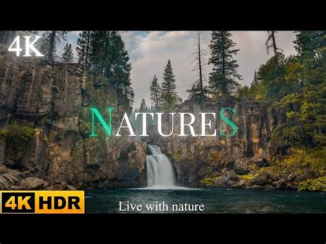 Peaceful Nature Scenes 4k Nature Video Youtube