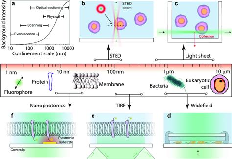 2 Bridging Optical Microscopy And Sub Cellular Biophysics By Various Download Scientific