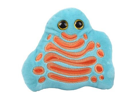 Plant Cell Golgi Body Candy