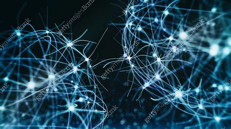 Neuron System 이미지 1198888342 게티이미지뱅크