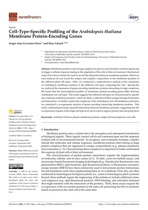 Pdf Cell Type Specific Profiling Of The Arabidopsis Thaliana Membrane Protein Encoding Genes
