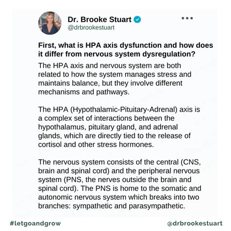 How To Regulate Hpa Axis Dysfunction A Functional Medicine
