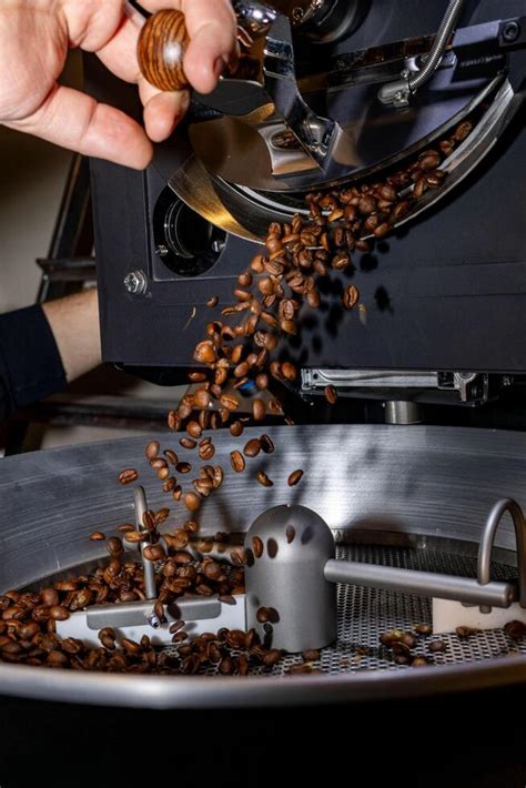 Roasted Coffee Beans Falling From A Professional Coffee Roaster Into A