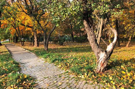 2019: Кунцево. Можайское шоссе