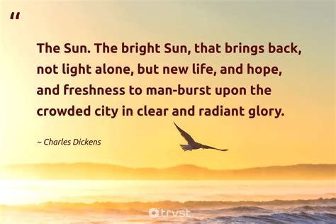 93 Sunshine Quotes And Sayings To Embrace Warmth