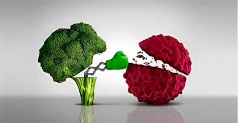 10 Jenis Diet Pendukung Terapi Kanker