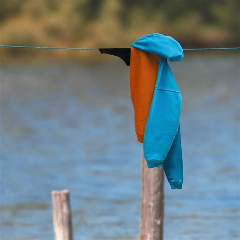 Whimsical Clothesline Art By Helga Stentzel Design Swan