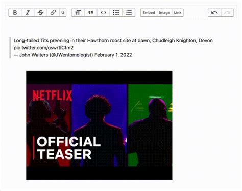 Adding Embeds To An ActionText Field Kindleman Web Design