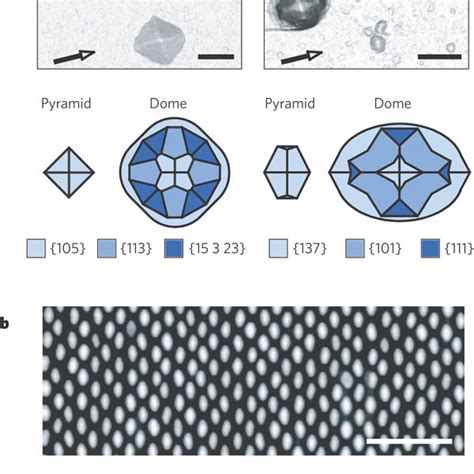 Semiconductor Quantum Structuresa Scanning Tunnelling Microscope