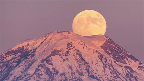 Full Moon February 2025 When And How To See The Snow Moon In South