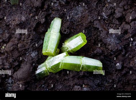 Green Pyromorphite Barrel Specimen From Mas Dieu Laval Pradel Gard