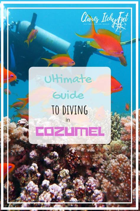 Ultimate Guide To Cozumel Scuba Diving Cozumel Dive Sites Map Best