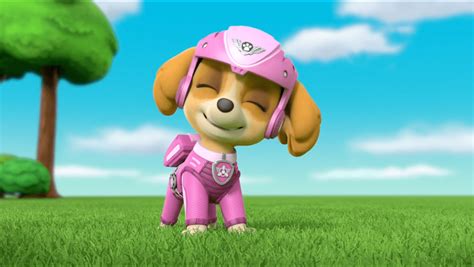 Skye Paw Patrol Wallpapers Top Free Skye Paw Patrol Backgrounds Wallpaperaccess