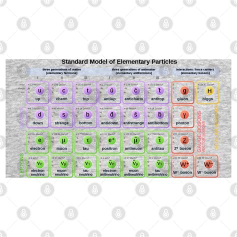 Standard Model Of Elementary Particles With Antiparticles Elementary