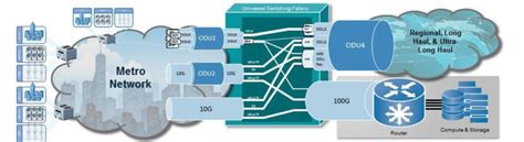 Universal Otn Switching Concept Download Scientific Diagram