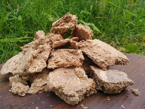 Organic Groundnut Cake At Rs 70kg Groundnut Cake In Gulbarga Id