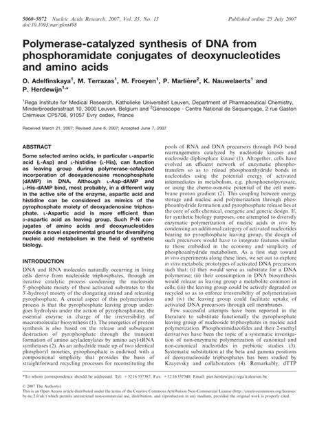 Pdf Polymerase Catalyzed Synthesis Of Dna From Phosphoramidate Conjugates Of Deoxynucleotides
