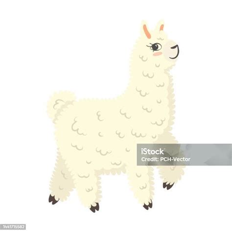 귀여운 라마 자랑스러운 용감한 즐겁게 산책 만화 벡터 삽화 다른 포즈와 감정의 백인 아기 라마 스티커 모음 감정에 대한 스톡 벡터 아트 및 기타 이미지 Istock