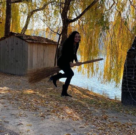 📢🐕‍🦺 მუნიციპალურ თავშესაფარში ი ალავერდელის ქუჩიდან შემოყვანილია სავარაუდოდ დაკარგული ჰასკი ან