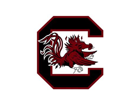 South Carolina Gamecocks Color Codes Sports Color Codes