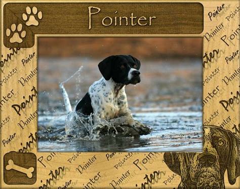 Personalized Frame Pointer