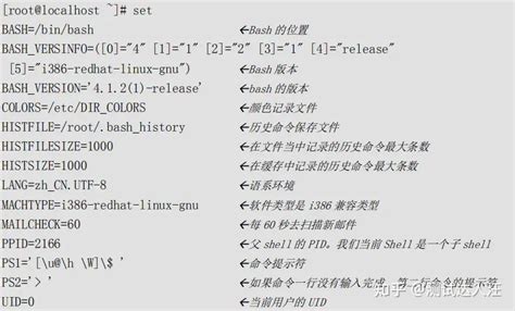 Shell基础 环境变量全套 知乎
