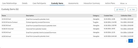 Understanding Violation And Evidence Objects In Cases