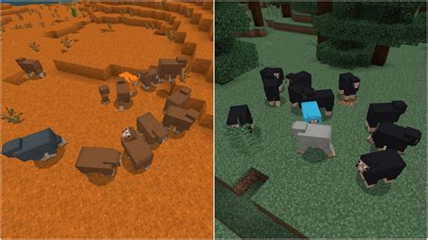 How Minecraft Created New Cold And Warm Sheep Variants Without Adding New Ones