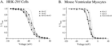 Voltage Dependences Of Steady State Inactivation Of Kv4xinduced K