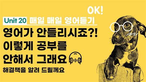 생활영어 나오는 진짜 원어민 영어회화 60문장 연속듣기 영어듣기 1시간만 투자하세요 귀와 입이 트이는 리얼영어 Youtube