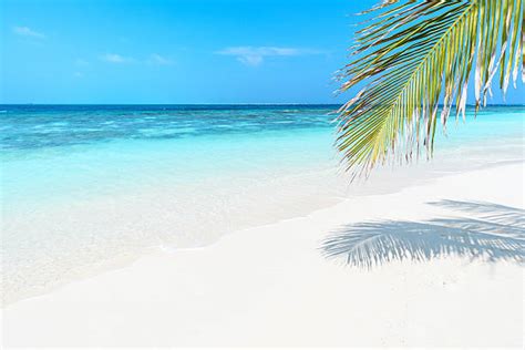 White Sand Beaches Wallpapers
