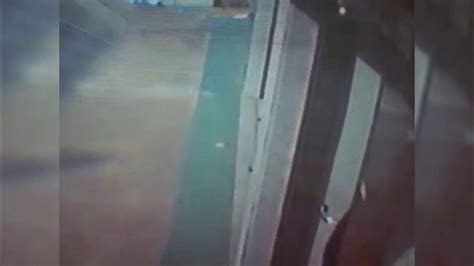 조직스토킹전파무기범죄자들의만행 Youtube