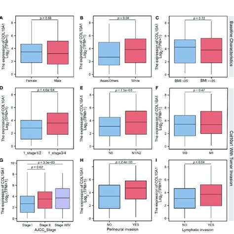 A Col10a1 Upregulated Mrna Levels In Crc Tissues In Comparison With Download Scientific