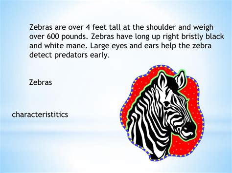 Ppt Zebras Powerpoint Presentation Free Download Id2072390