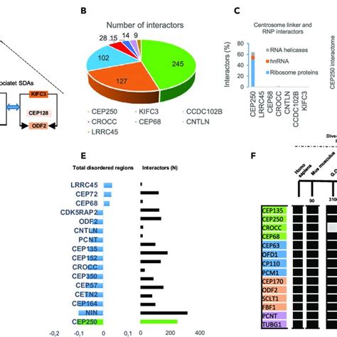 Pdf Single Cell Proteo Genomic Reveals A Comprehensive Map Of