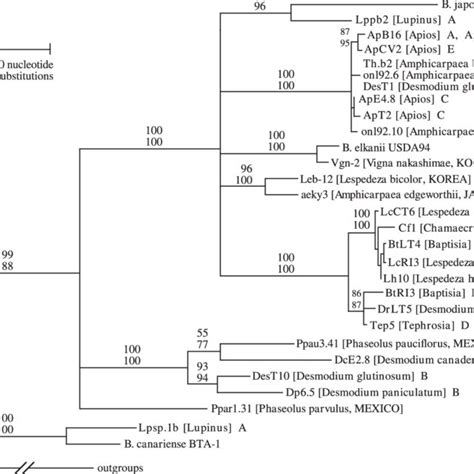 Bootstrap Majority Rule Maximum Parsimony Mp Consensus Tree For Tfda Download Scientific