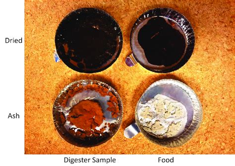 Dried And Ashed Food And Ad Samples Download Scientific Diagram