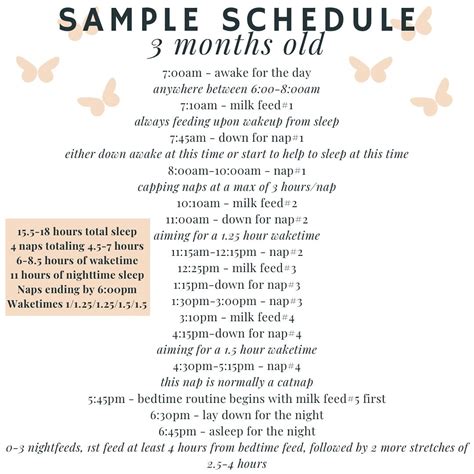 Wee Bee Dreaming Pediatric Sleep Consulting