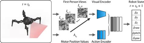Egocentric Visual Self Model Overview In Each Timestamp T The Action Download Scientific
