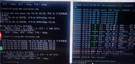 T Rex Instance Wasn T Validated Issue Trexminer T Rex GitHub