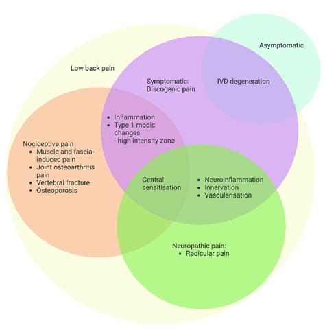 Classification Of Specific Lbp With An Emphasis On Pain Origin