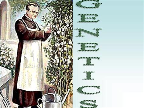 PPT GENETICS PowerPoint Presentation Free Download ID